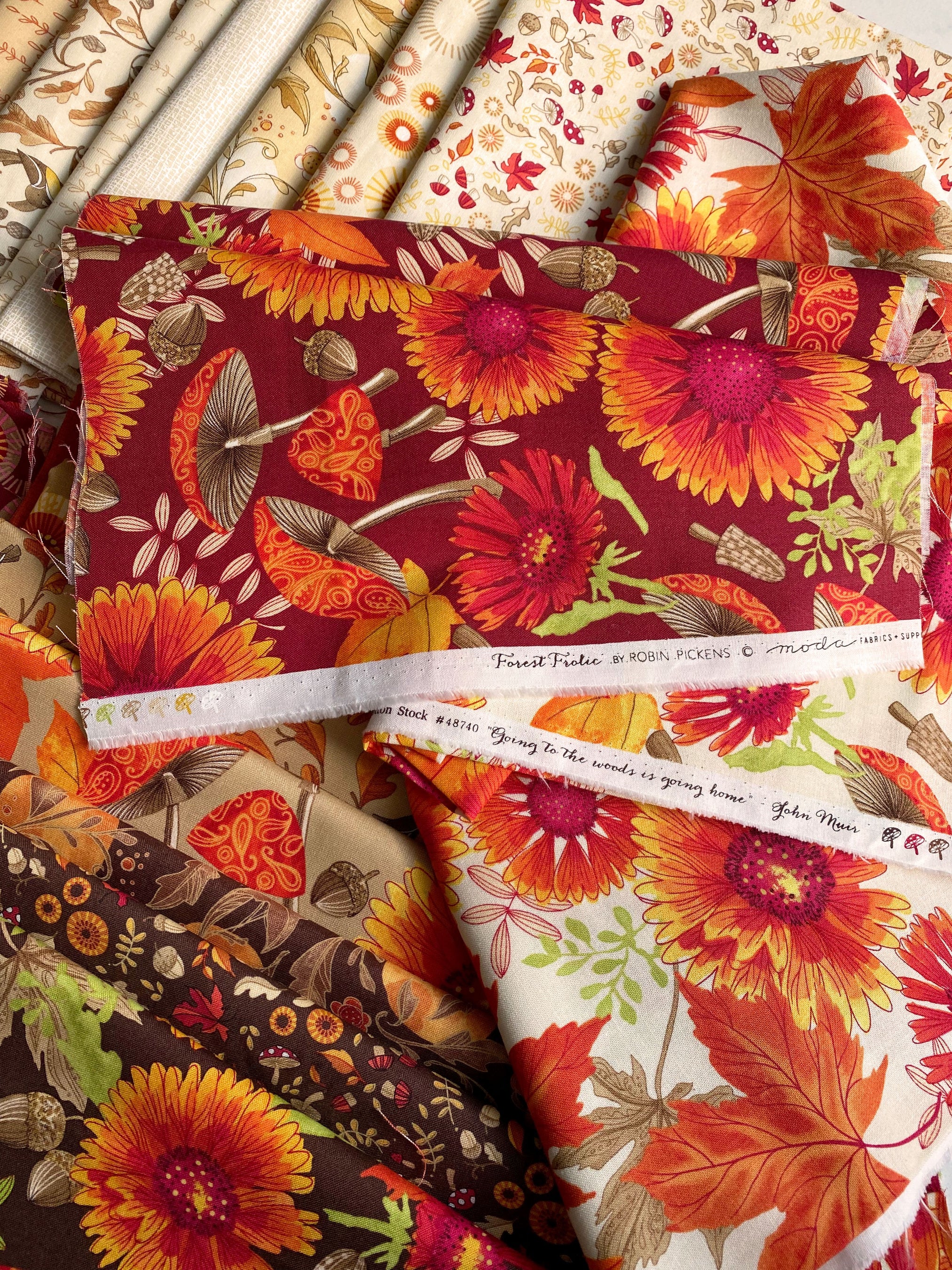 Poppy Quilt N Sew - Fabric Store in Georgetown, Texas